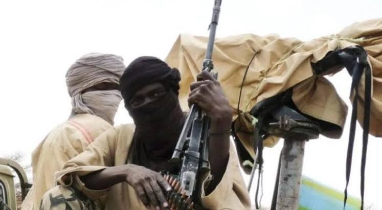 Terrorist launch another attack in Borno - Yerwa Express News